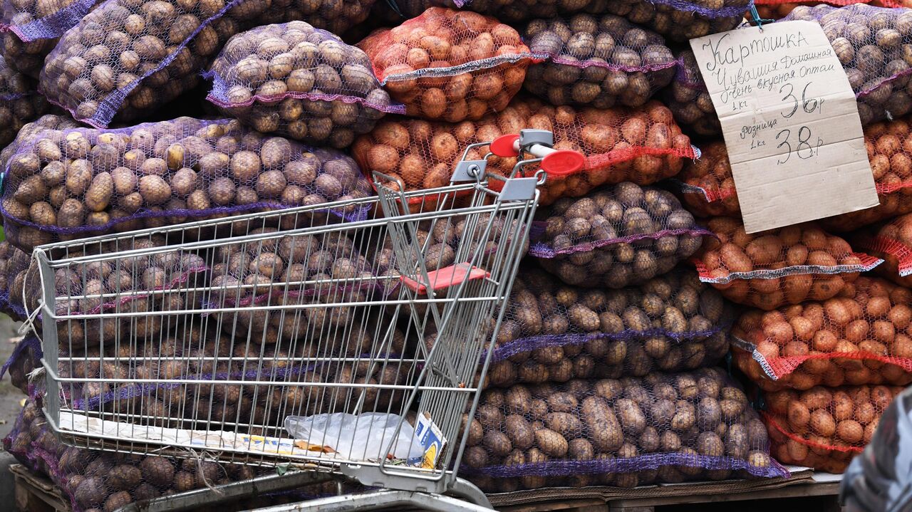 Цены на картофель в России снизились почти на четверть - РИА Новости ...