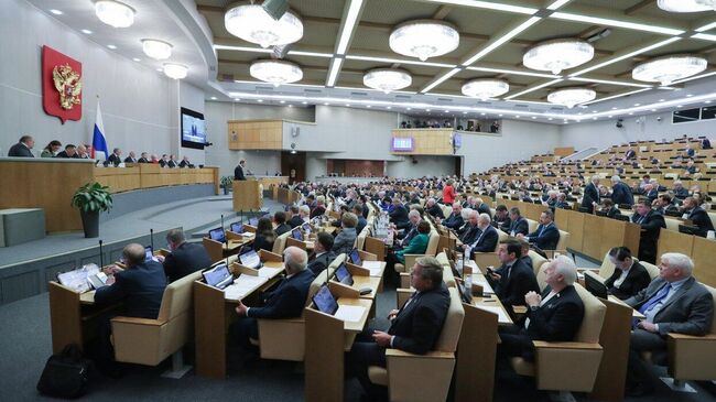Пленарное заседание Государственной Думы РФ