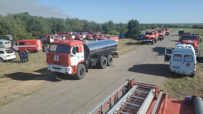Ликвидация пожара на территории Каменского лесничества в Ростовской области