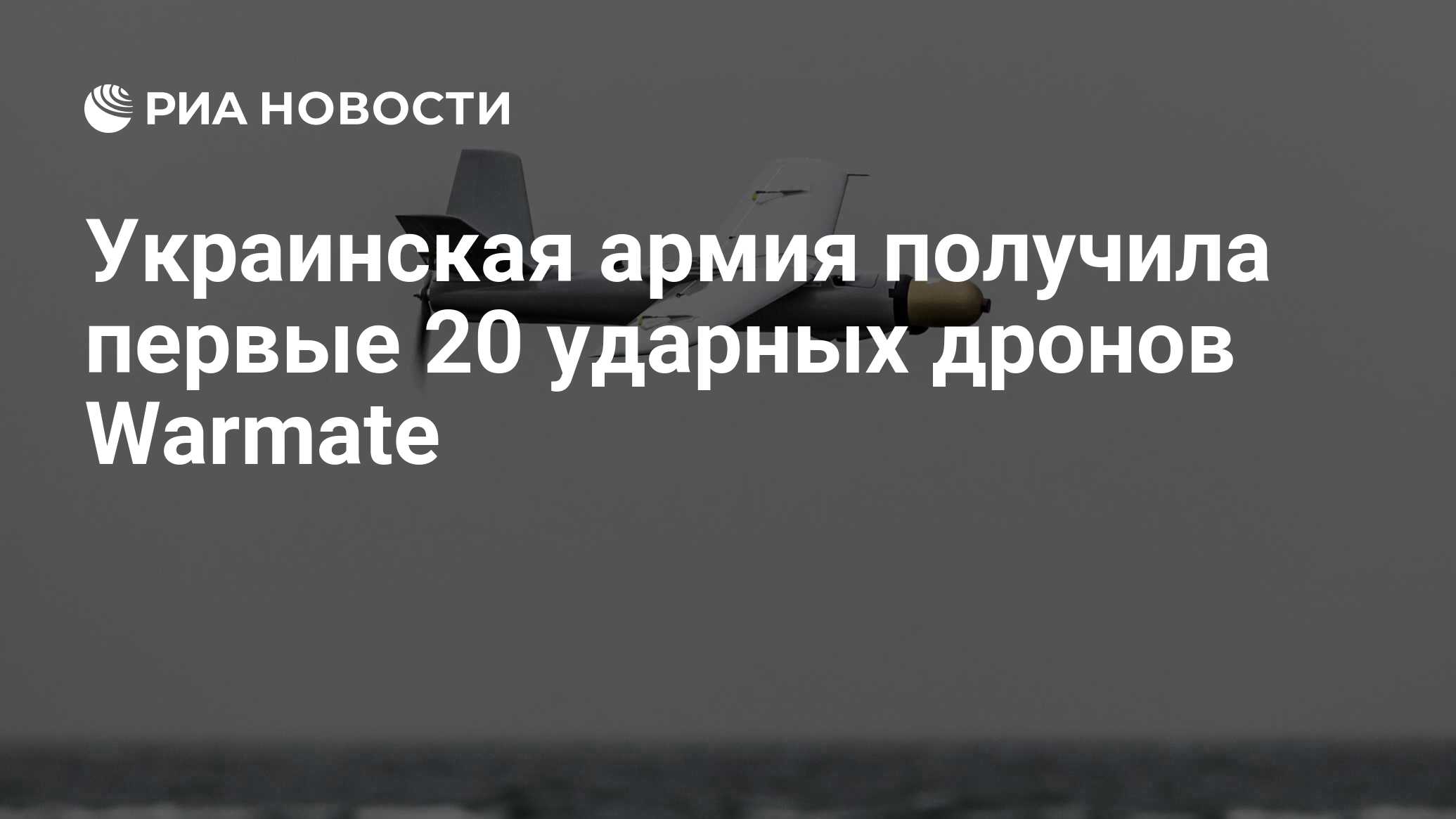 Украинская армия получила первые 20 ударных дронов Warmate - РИА Новости, 07.09.2022