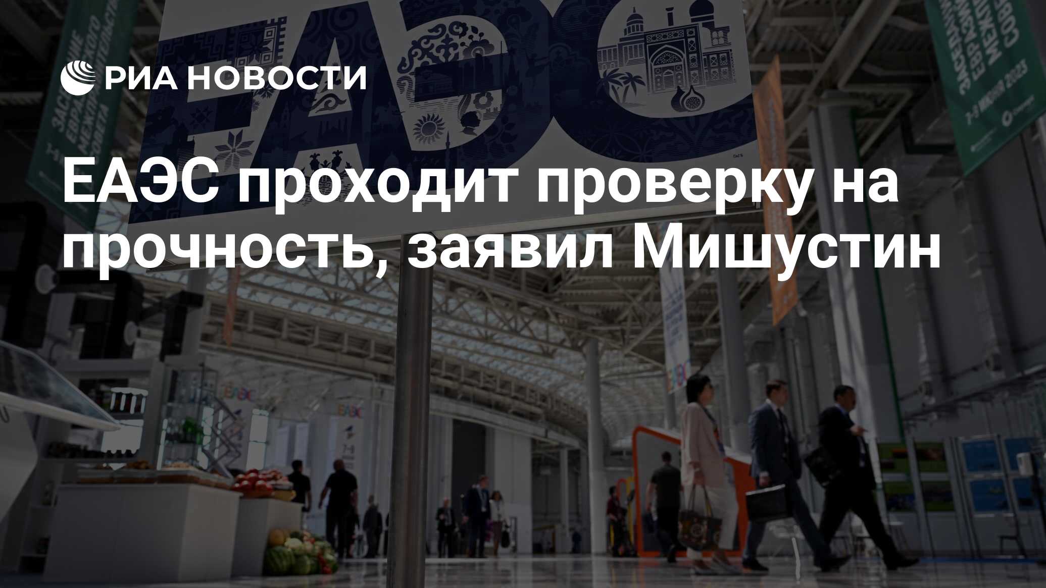 ЕАЭС проходит проверку на прочность, заявил Мишустин - РИА Новости, 24. ...