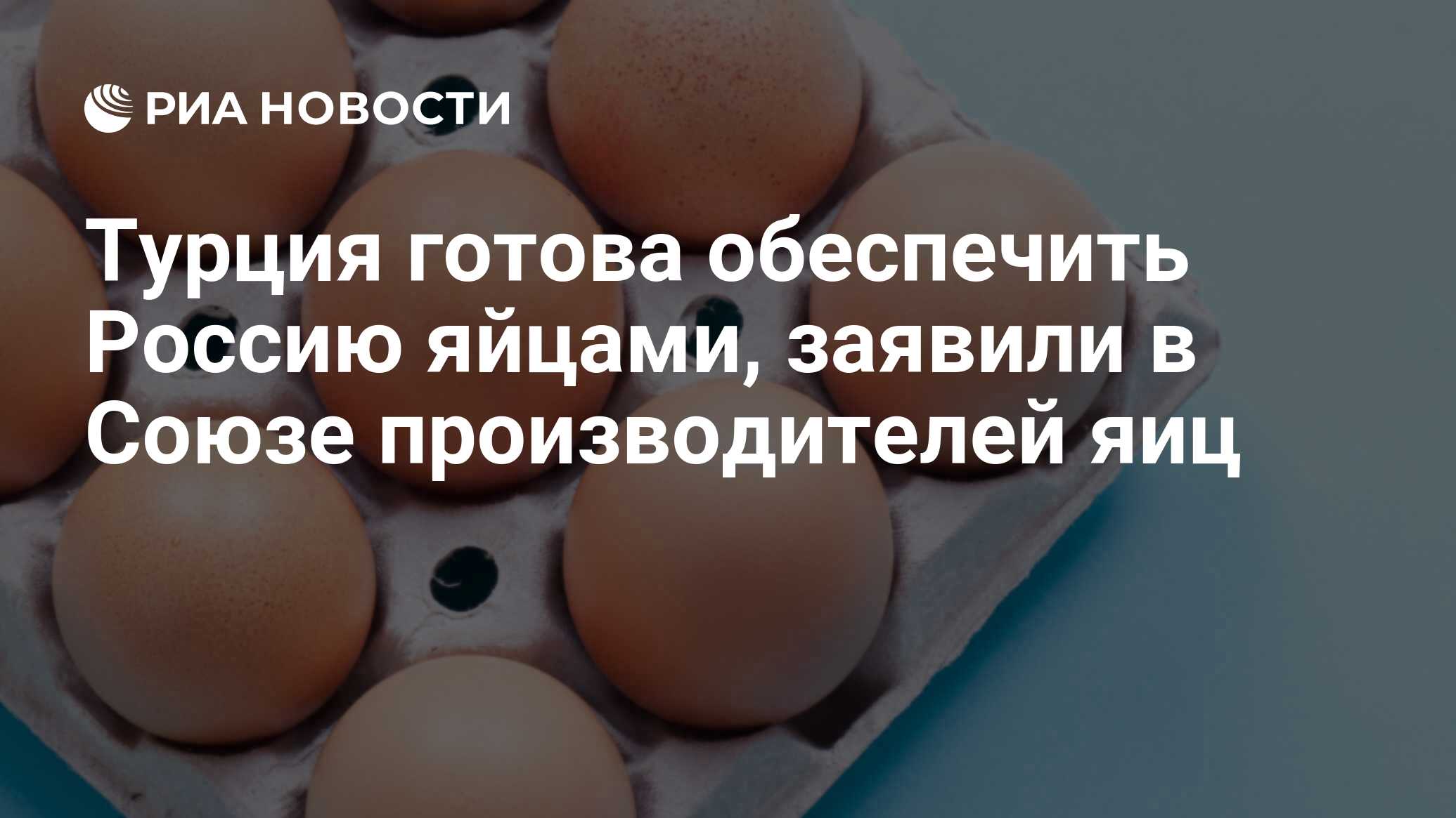 Турция готова обеспечить Россию яйцами, заявили в Союзе производителей ...