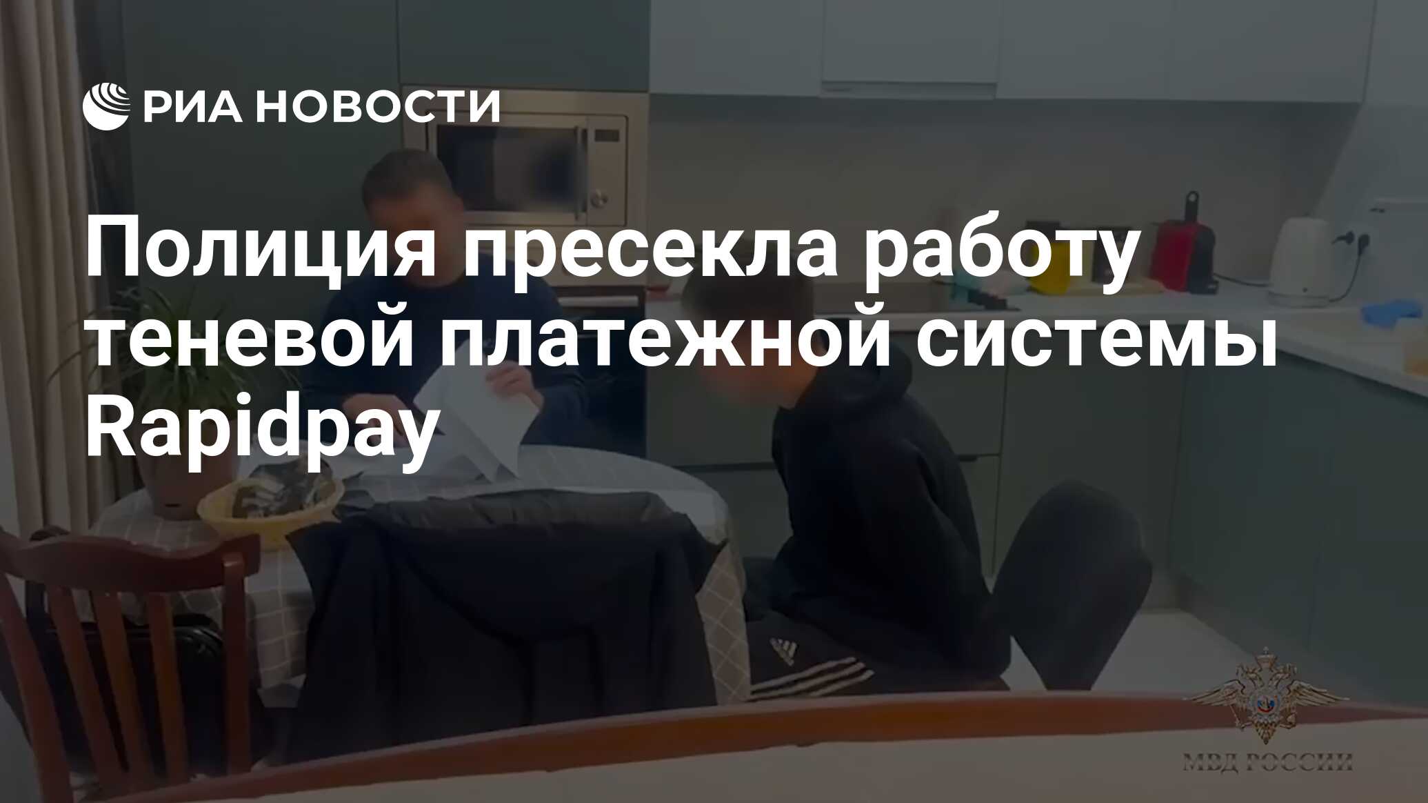 Полиция пресекла работу теневой платежной системы Rapidpay - РИА Новости, 14.01.2025
