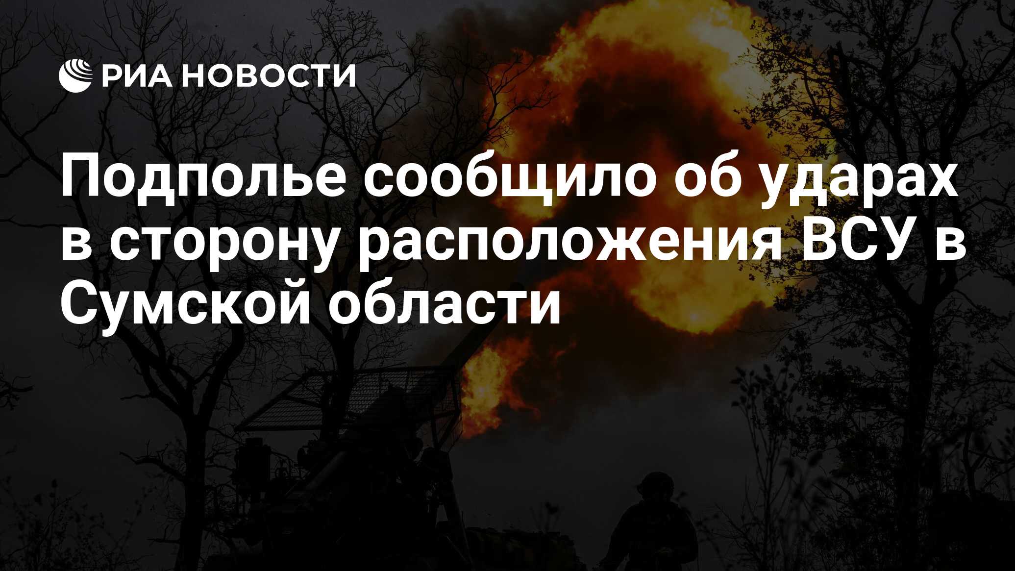 Подполье сообщило об ударах в сторону расположения ВСУ в Сумской